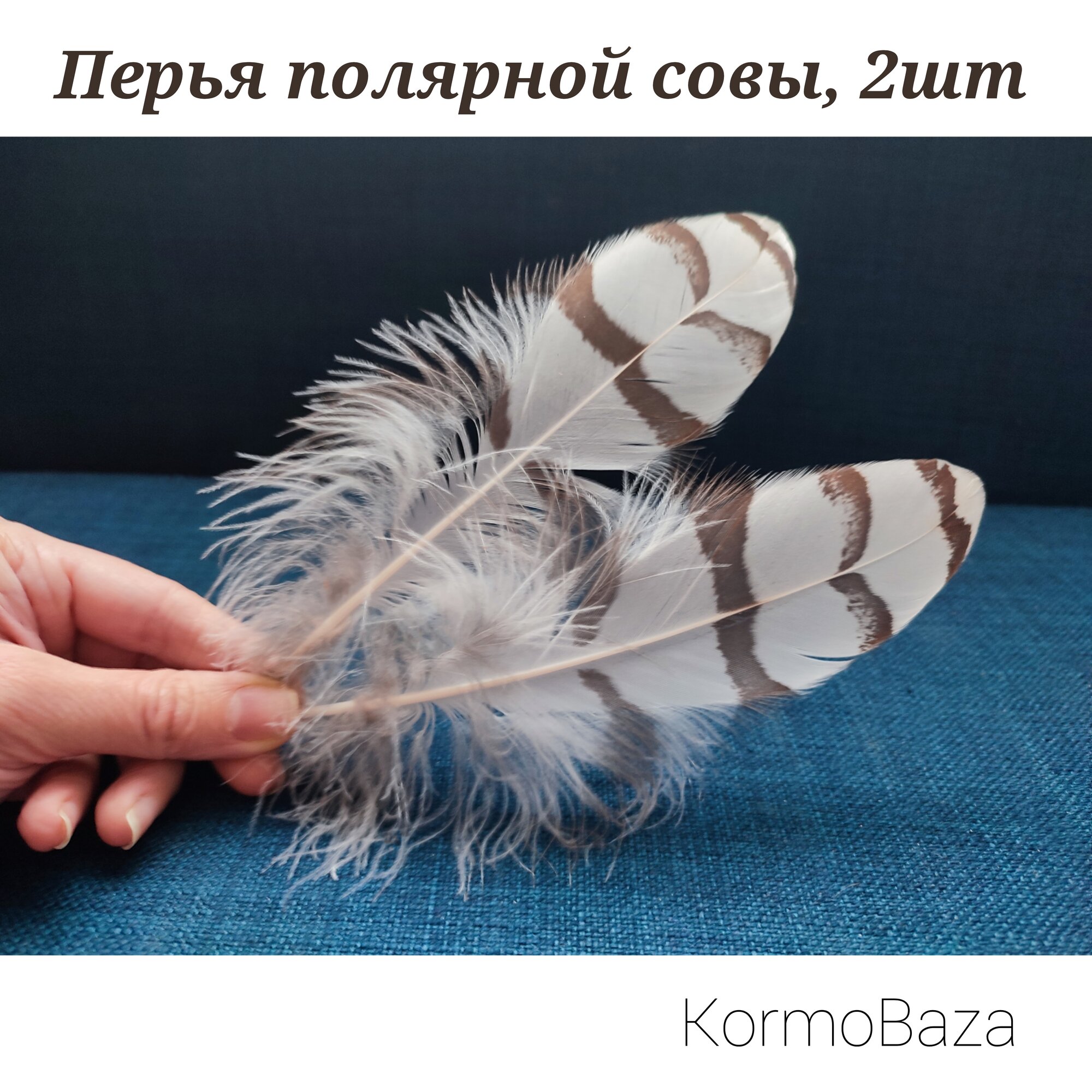 Настоящие перья полярной совы, 2шт. Длина 19см.