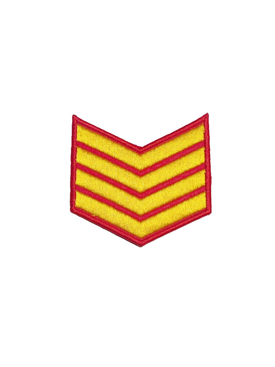 Курсовка 4 курс /красное сукно/шелк/гладь