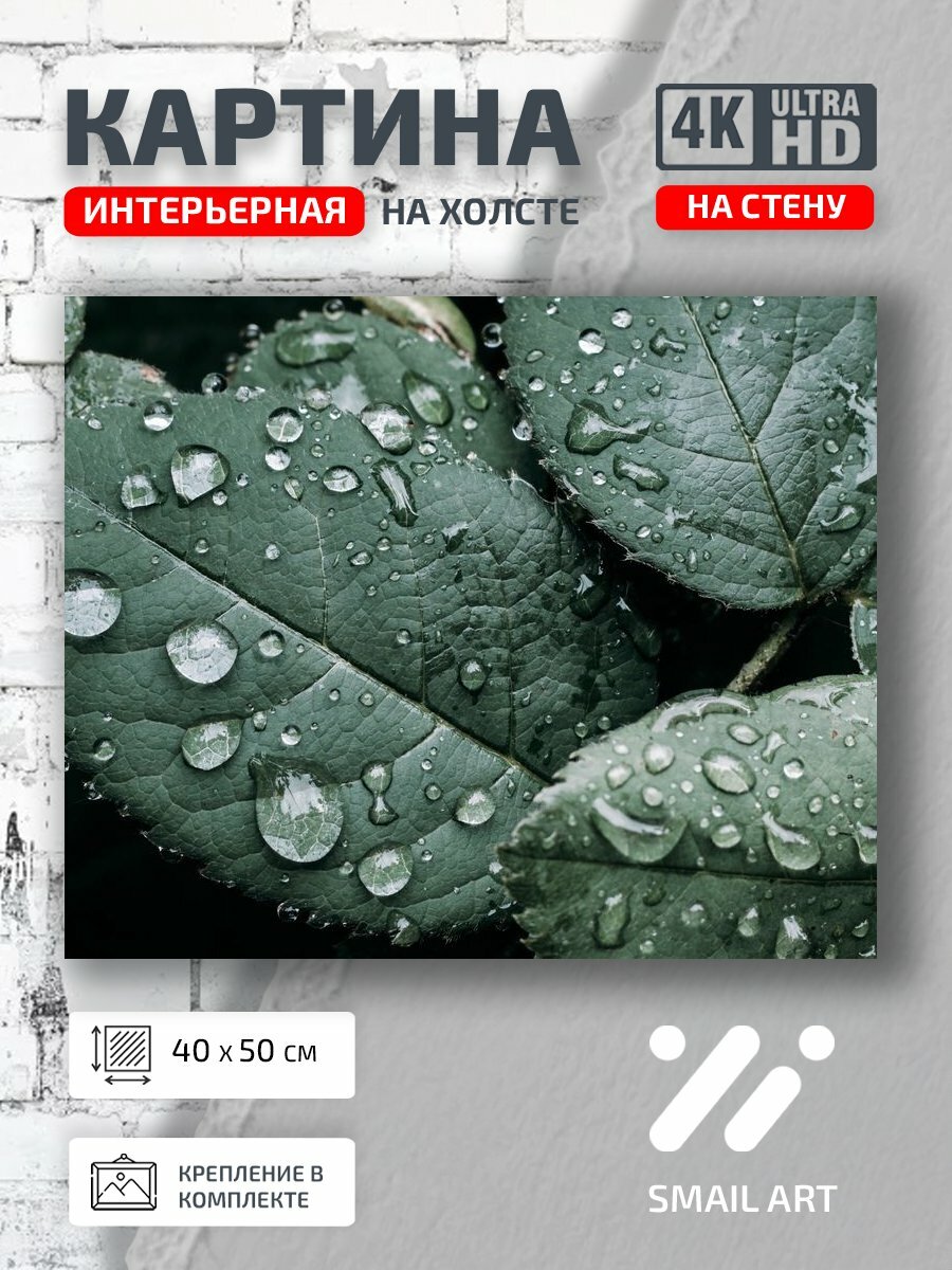 Картина на холсте интерьерная 40 на 50 на стену Капли Macro для офиса макро интерьер декор