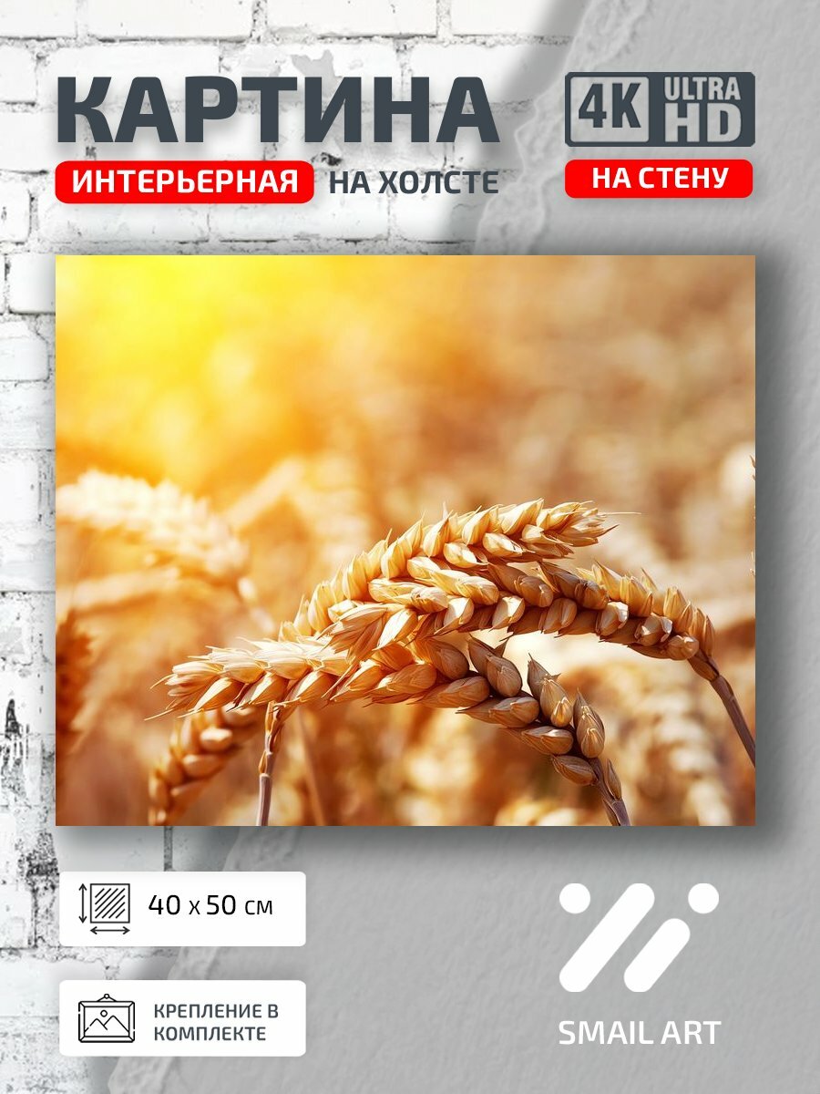 Картина на холсте интерьерная 40 на 50 на стену Колосья Landscape для спальни пейзаж декор