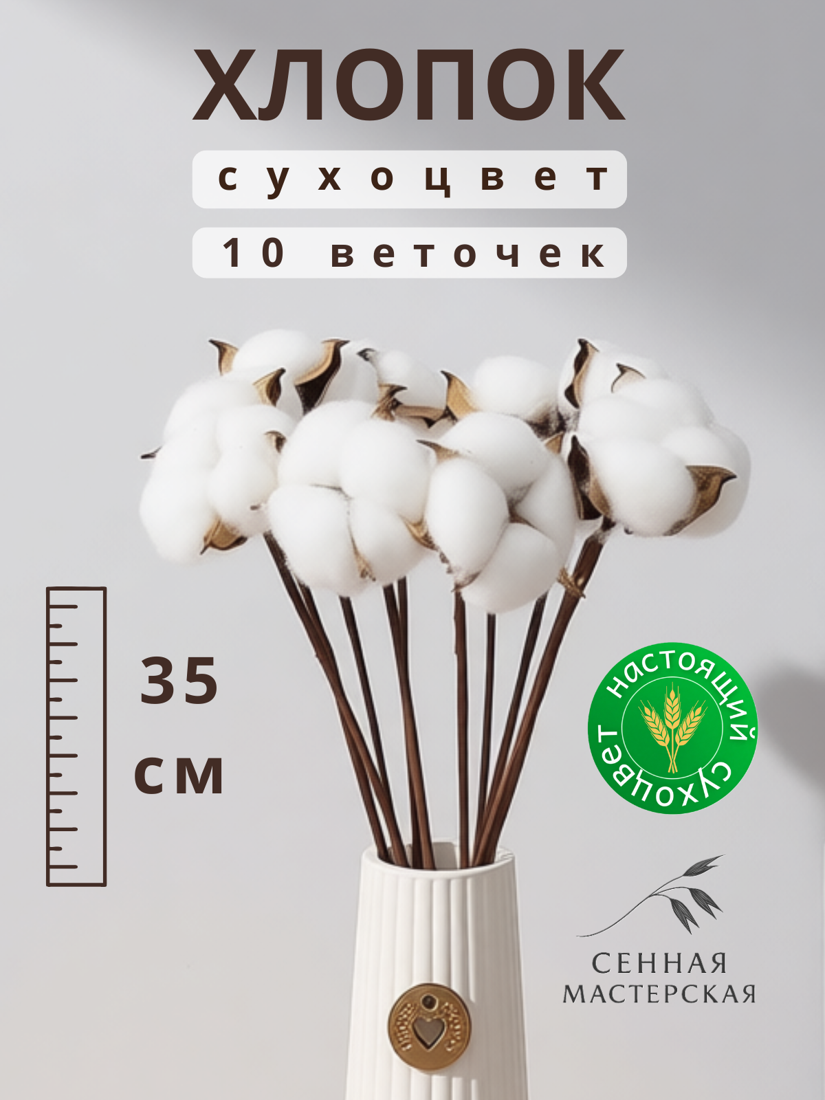 Сухоцветы для декора, букет из сухоцветов для интерьера хлопок сухоцвет натуральный белый, 10 веточек, 35 см.