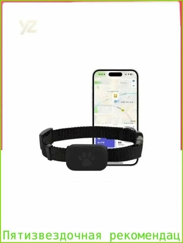 GPS ошейник для кошек и собак без SIM, без зарядки, трекер для животных с приложением