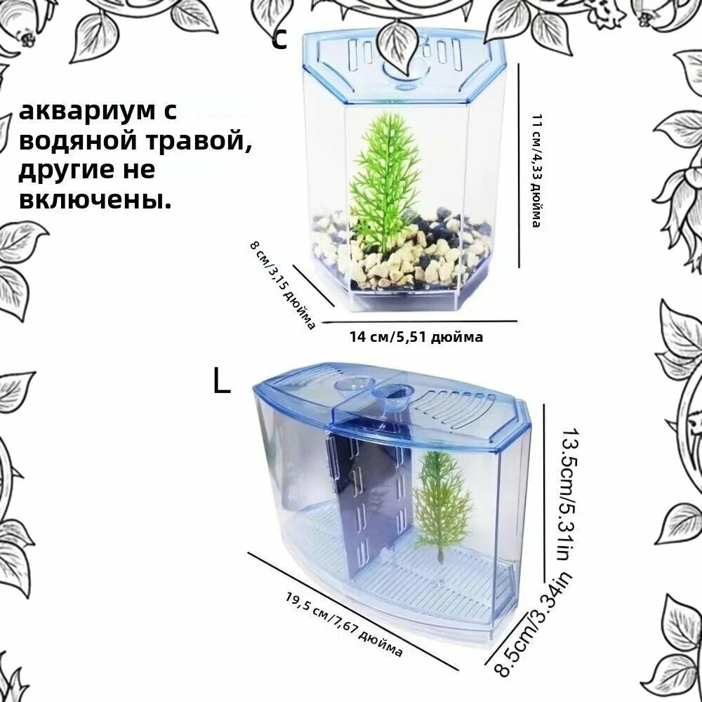 Аквариум для петушков — фото 1
