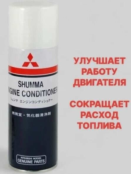 Раскоксовка двигателя Mitsubishi Shumma Engine 220 мл. MZ100139EX