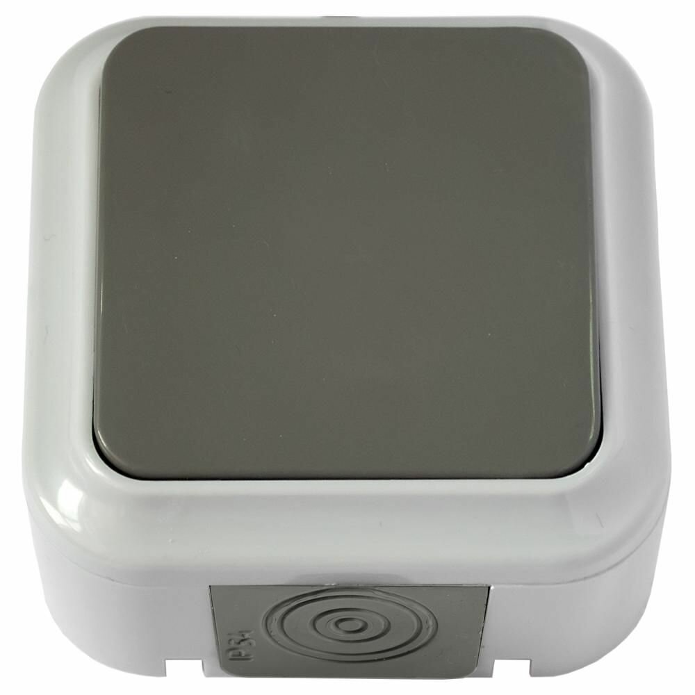 Выключатель одноклавишный БелТИЗ IP54 наружный, 220 В