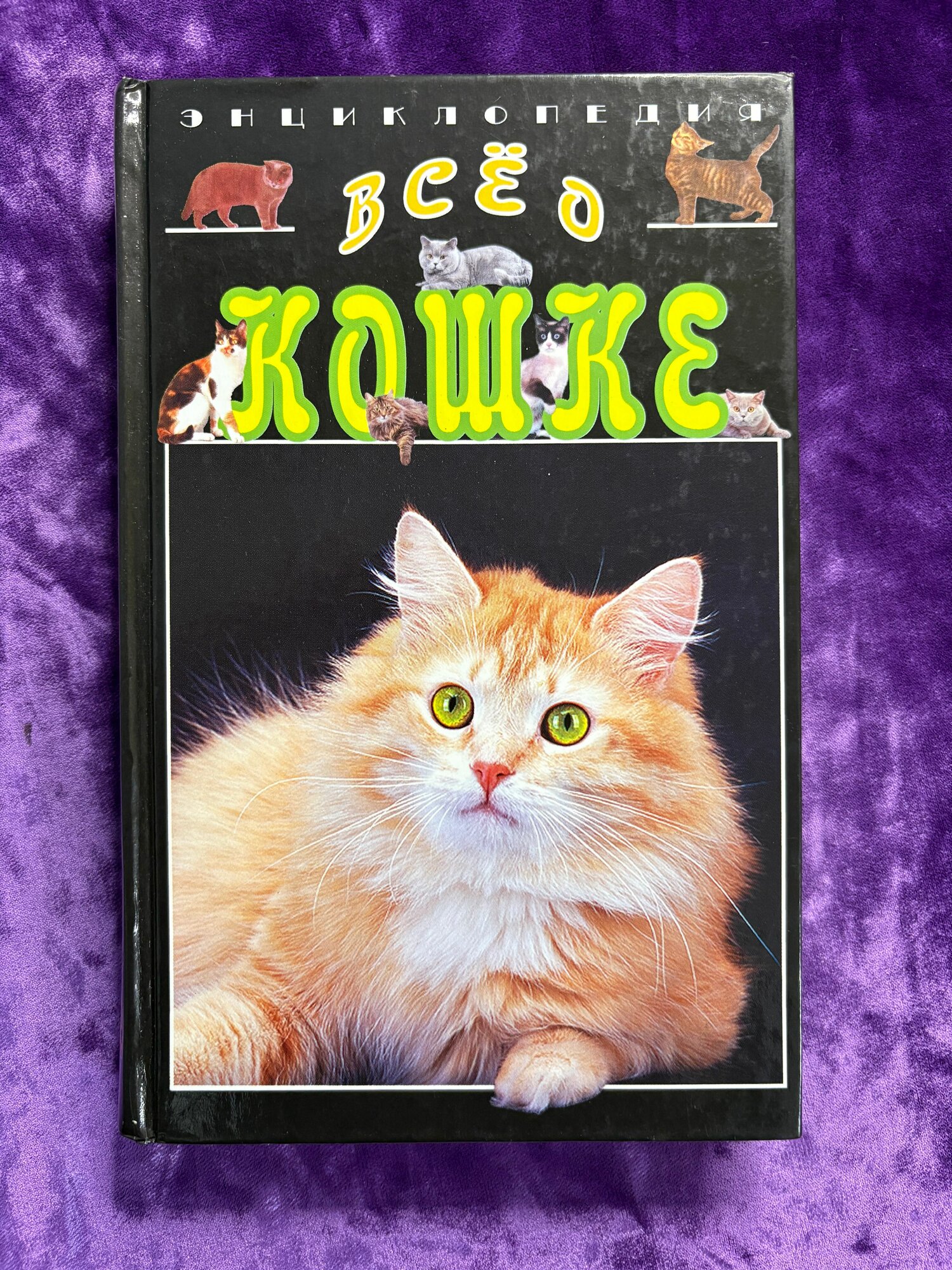 Все о кошке. Энциклопедия