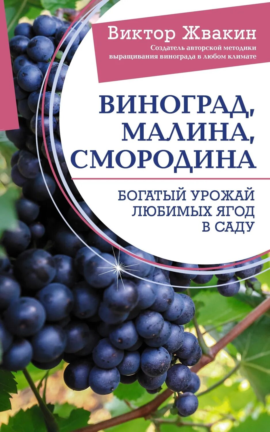 Виноград, малина, смородина. Богатый урожай любимых ягод в саду [Цифровая книга]