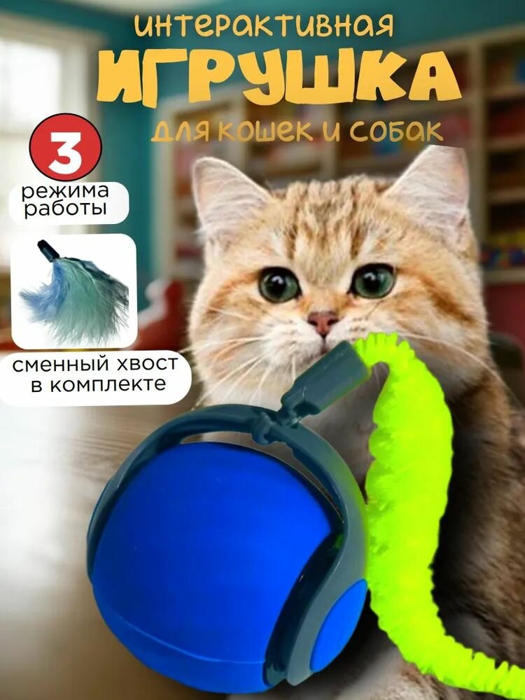 Игрушка для кошек интерактивная, умный мячик с хвостиком, дразнилка для котят. синий