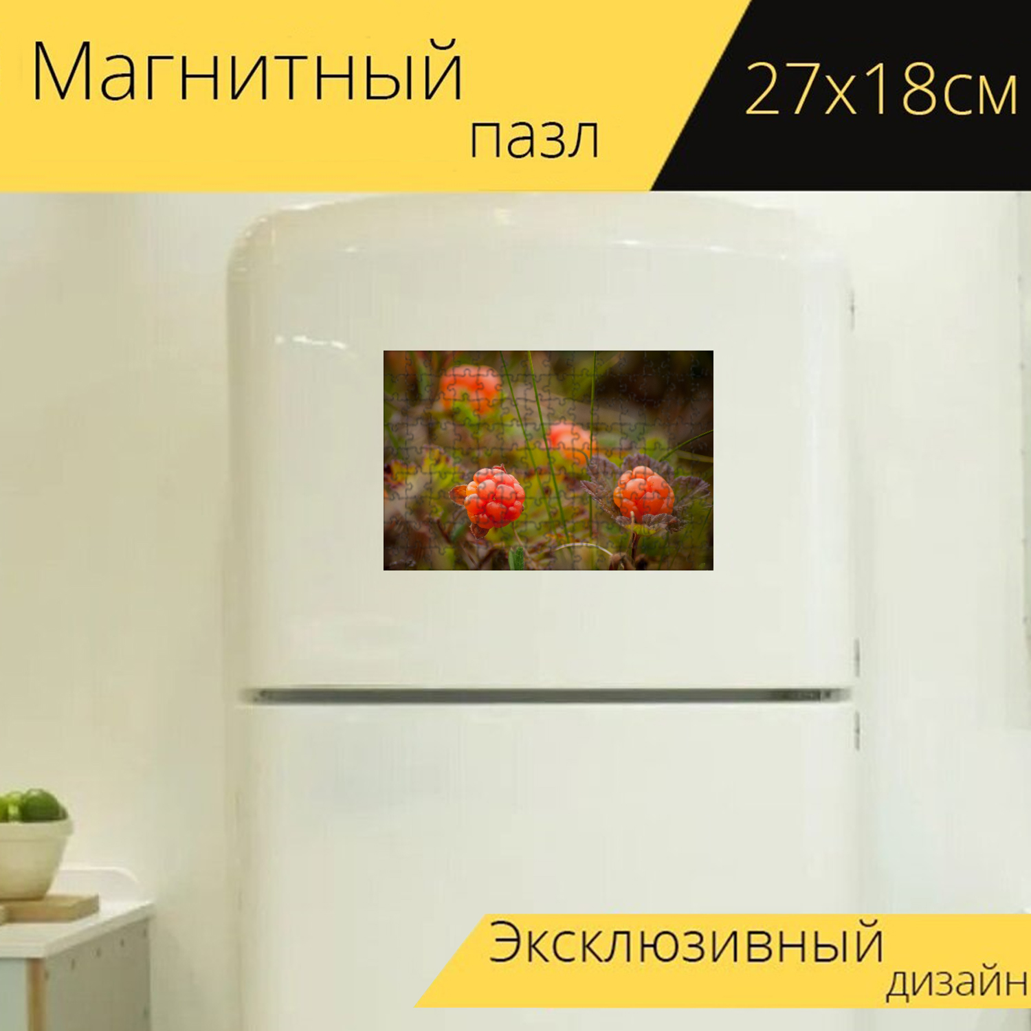 Магнитный пазл "Морошка буша производит, ягоды, ягода" на холодильник 27 x 18 см.