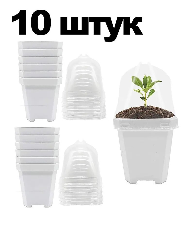 Парник, теплица мини PP-PB00119-250612A-25 10.01