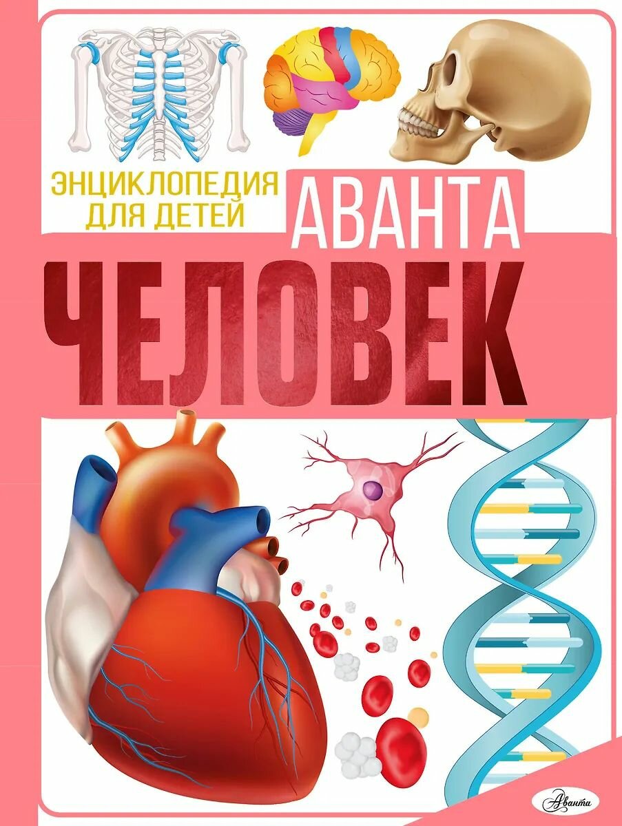 Детская энциклопедия АСТ Человек, Е. В. Гусев, твердый переплет, 2023 г