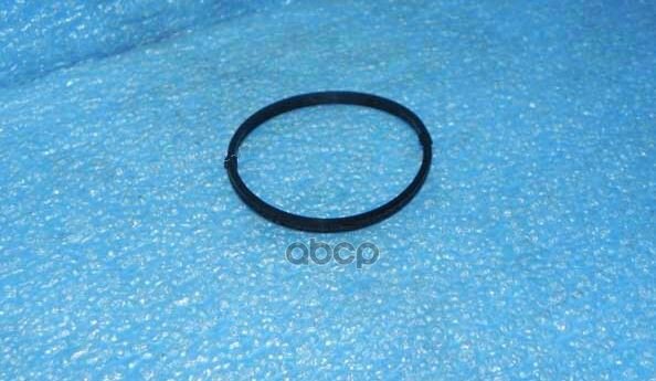 Кольцо уплотнительное термостата Tiggo CHERY арт. E4G161303131