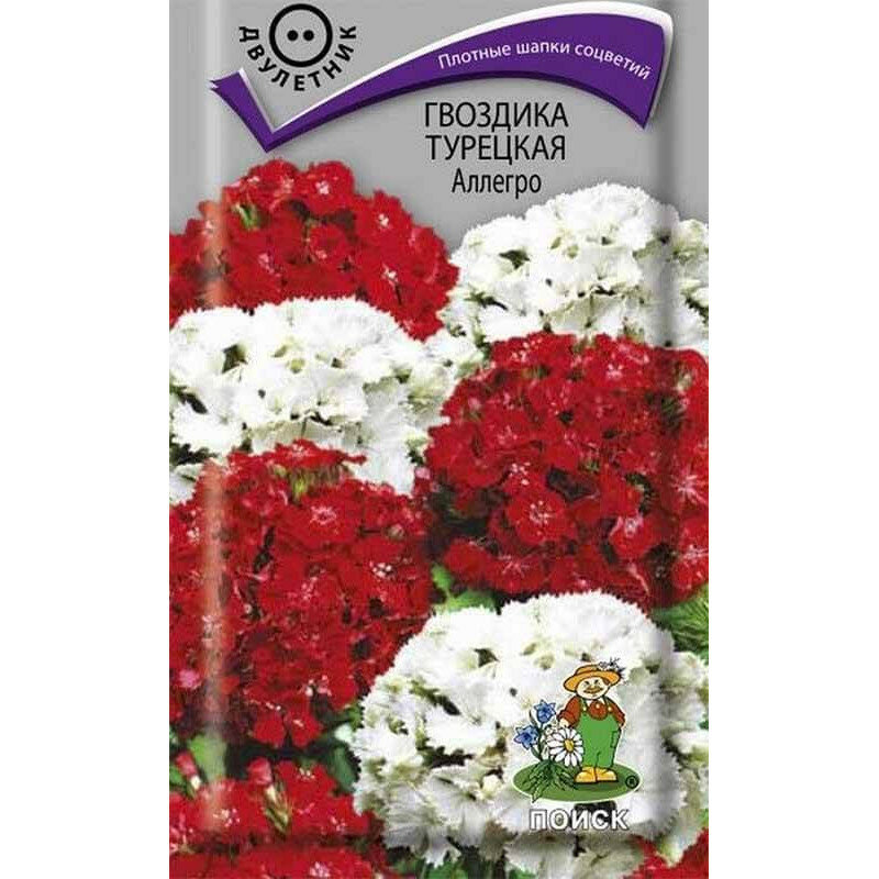 Семена Гвоздика "Аллегро" турецкая "Поиск"