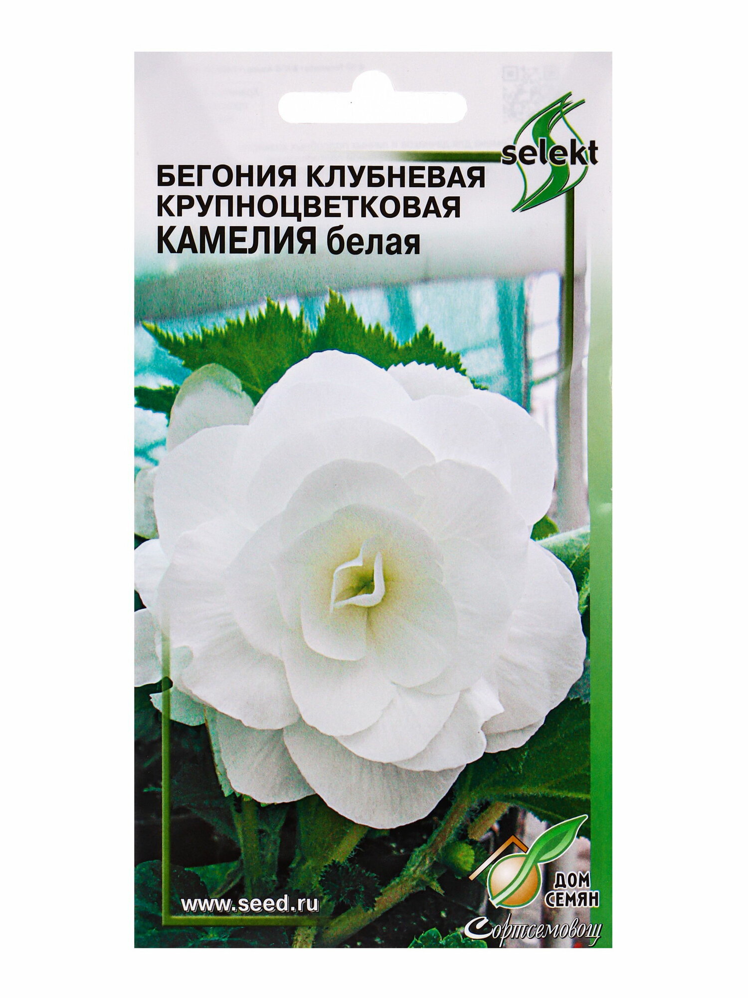 Семена цветов Бегония крупноцв. Камелия белая 10 шт, место выращивания: открытый грунт