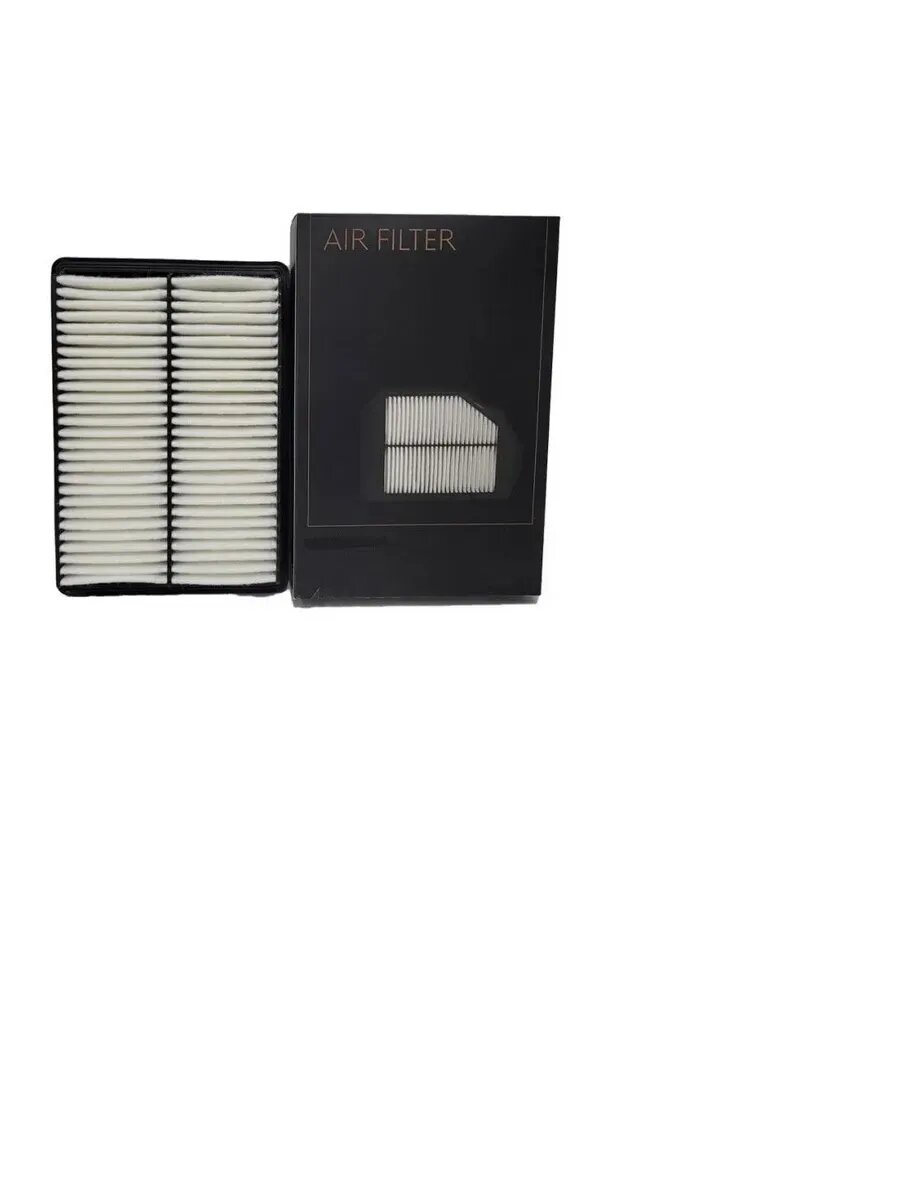 Фильтр воздушный Genesis арт. 28113AR400