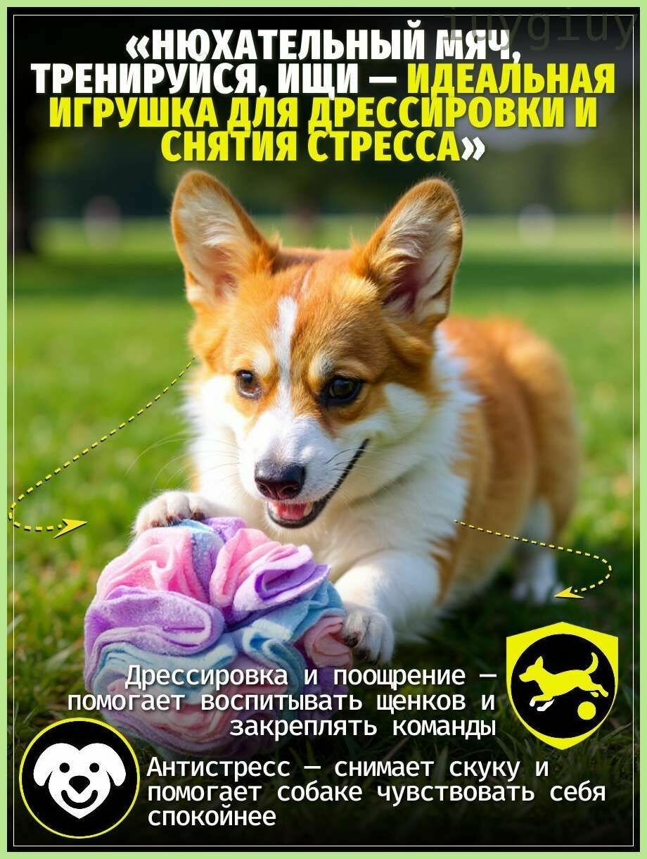 Нюхательный мяч для собак и кошек флисовый разноцветный, развивающая игрушка для животных, интеллектуальный шар для лакомств и дрессировки