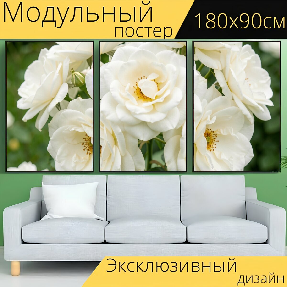 Модульный постер "Букет белых садовых роз. Нежные кремово-молочные цветы крупным планом на фоне зеленой листвы. Романтичная." 180 x 90 см. для интерьера на стену в тубусе