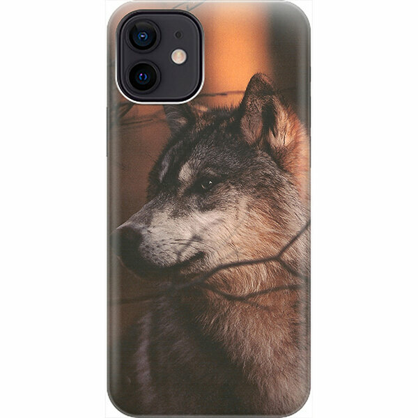 Силиконовый чехол на Apple iPhone 12 / 12 Pro / Эпл Айфон 12 / 12 Про с рисунком "Красивый волк"