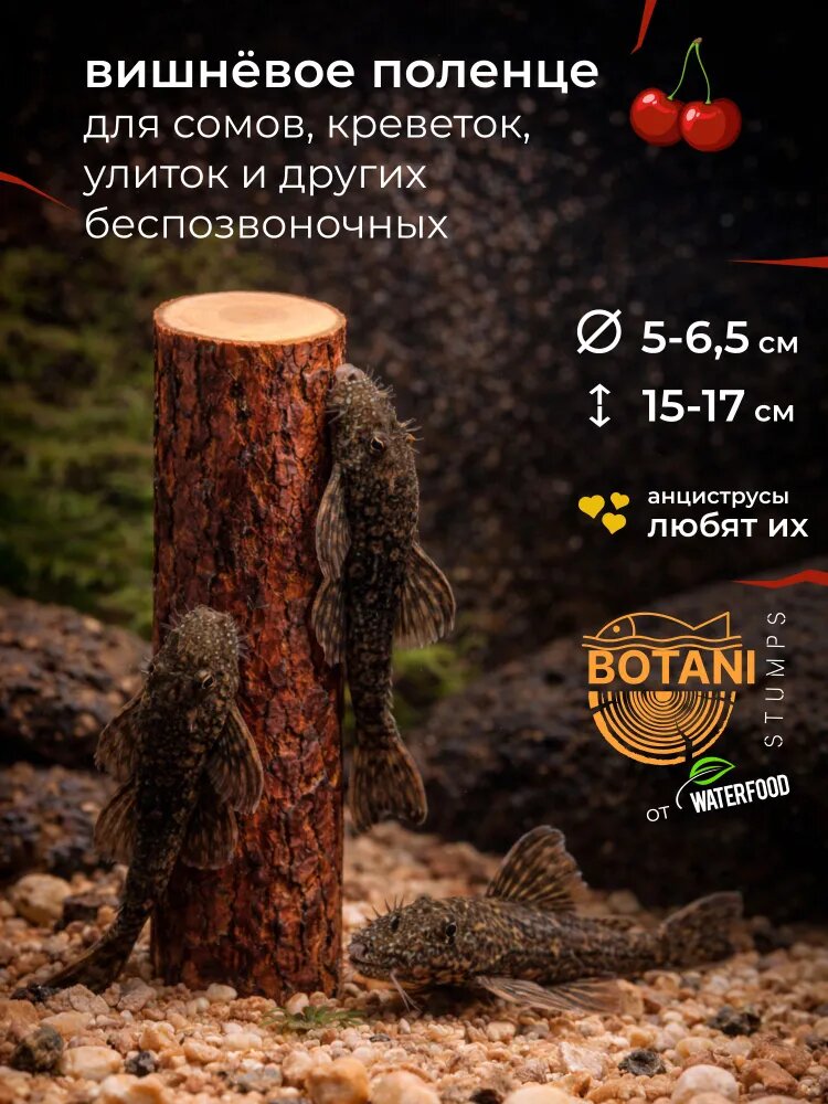 Натуральное полено для аквариума (вишня) BOTANI STUMPS от WATER FOOD - корм для сомов, длина 15-17 см, диаметр 5-6,5 см