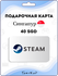Steam Подарочная карта на 40 SGD (Сингапур/SG, цифровой код)