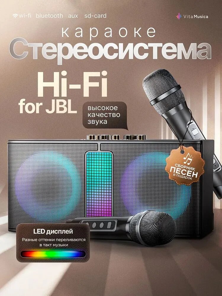Караоке система Vita Musica с двумя беспроводными микрофонами