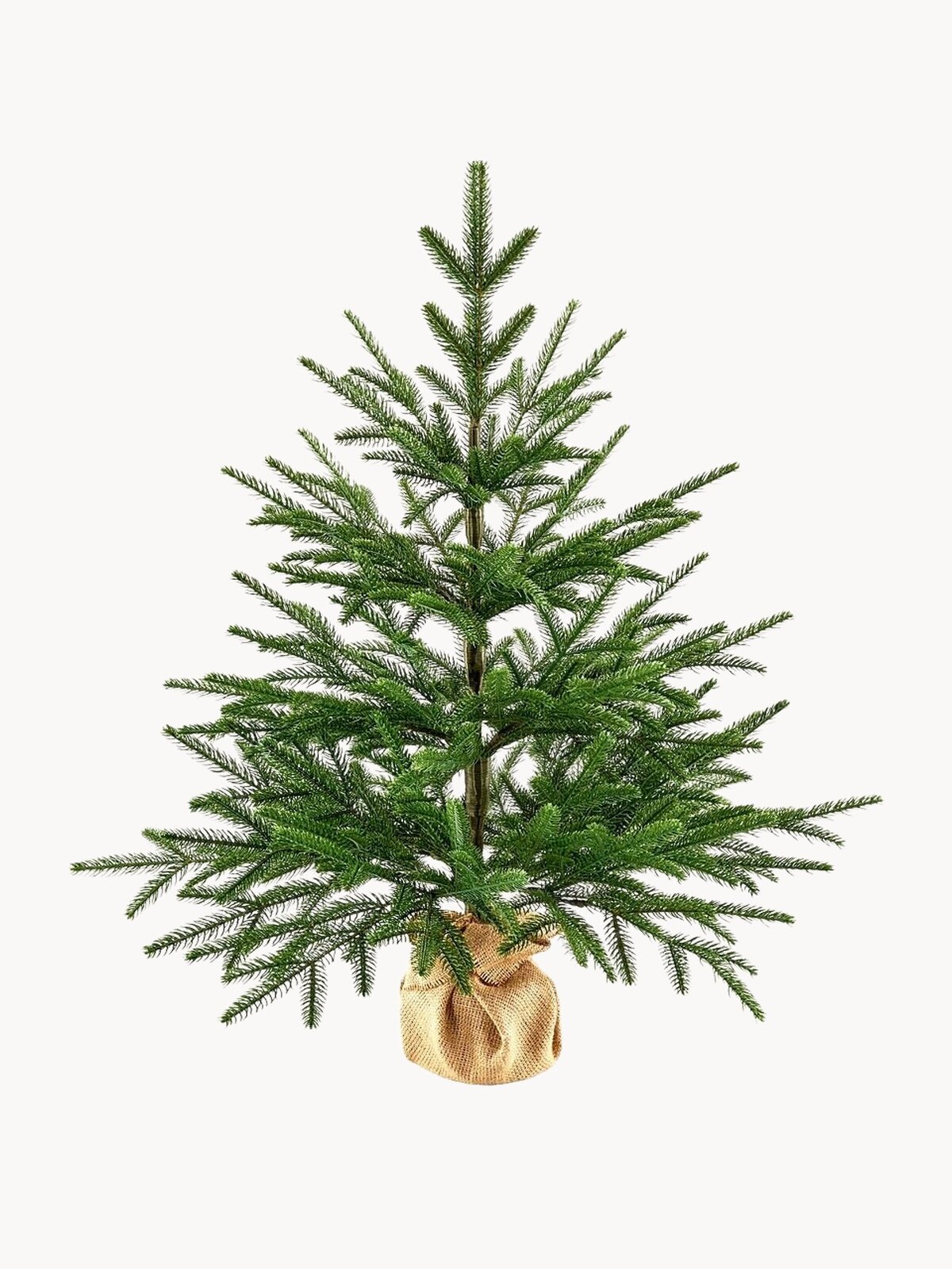 Ель настольная Семирамида 0,9 м (пенек+мешковина)