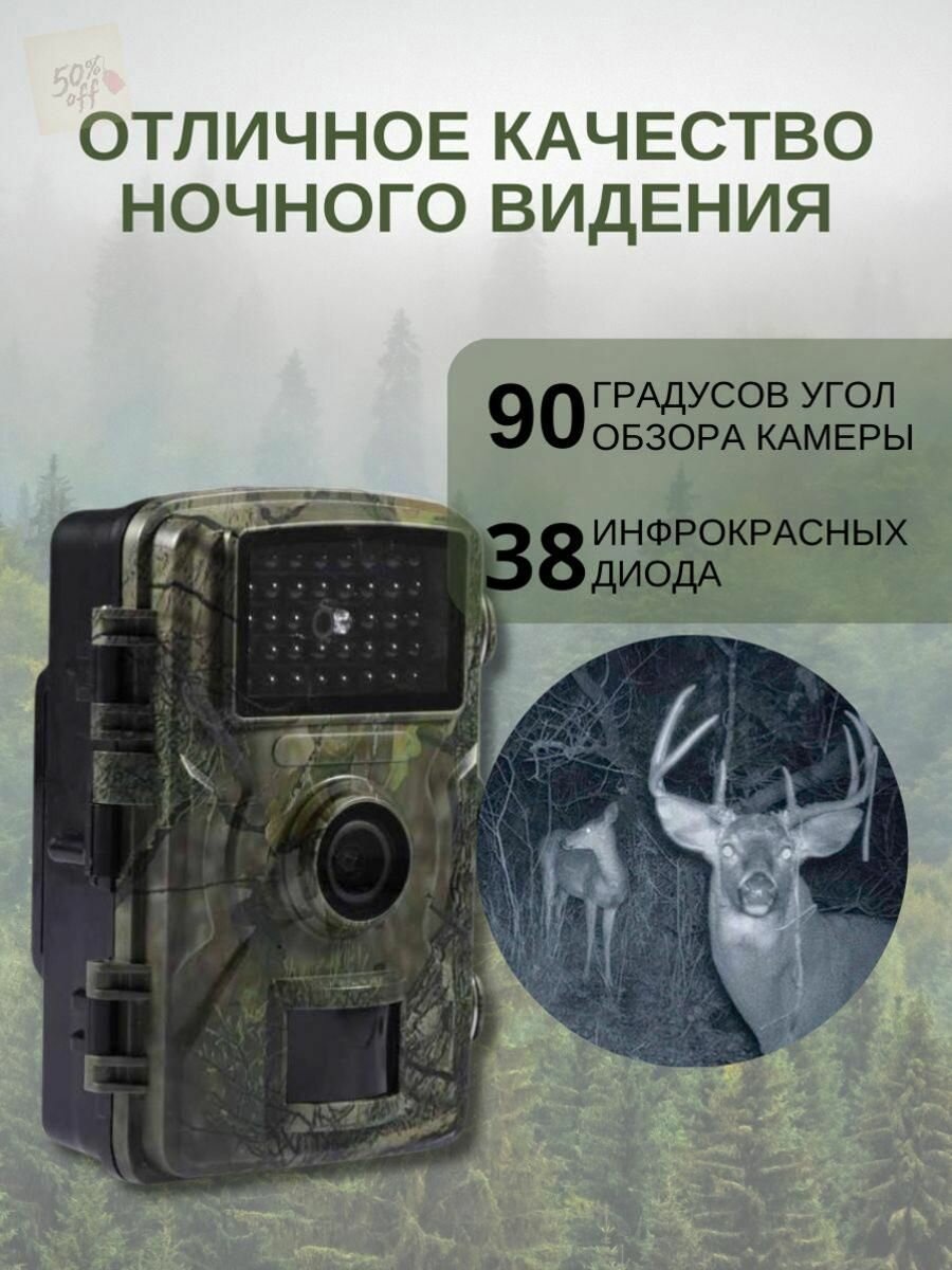 Фотоловушка — фото 1