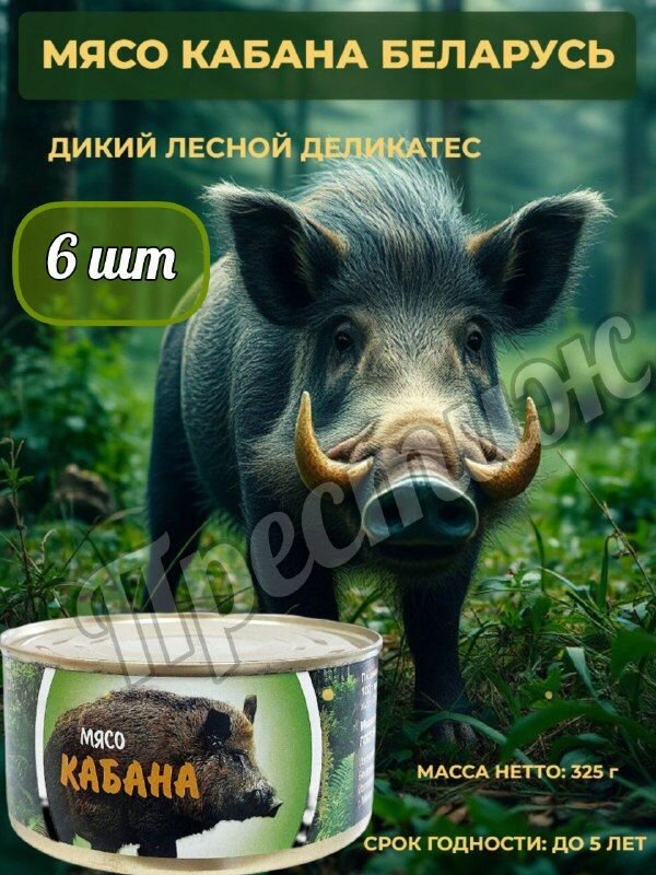 Белорусские консервы, тушенка из мяса кабана, 325 г, ГОСТ, набор из 6 шт