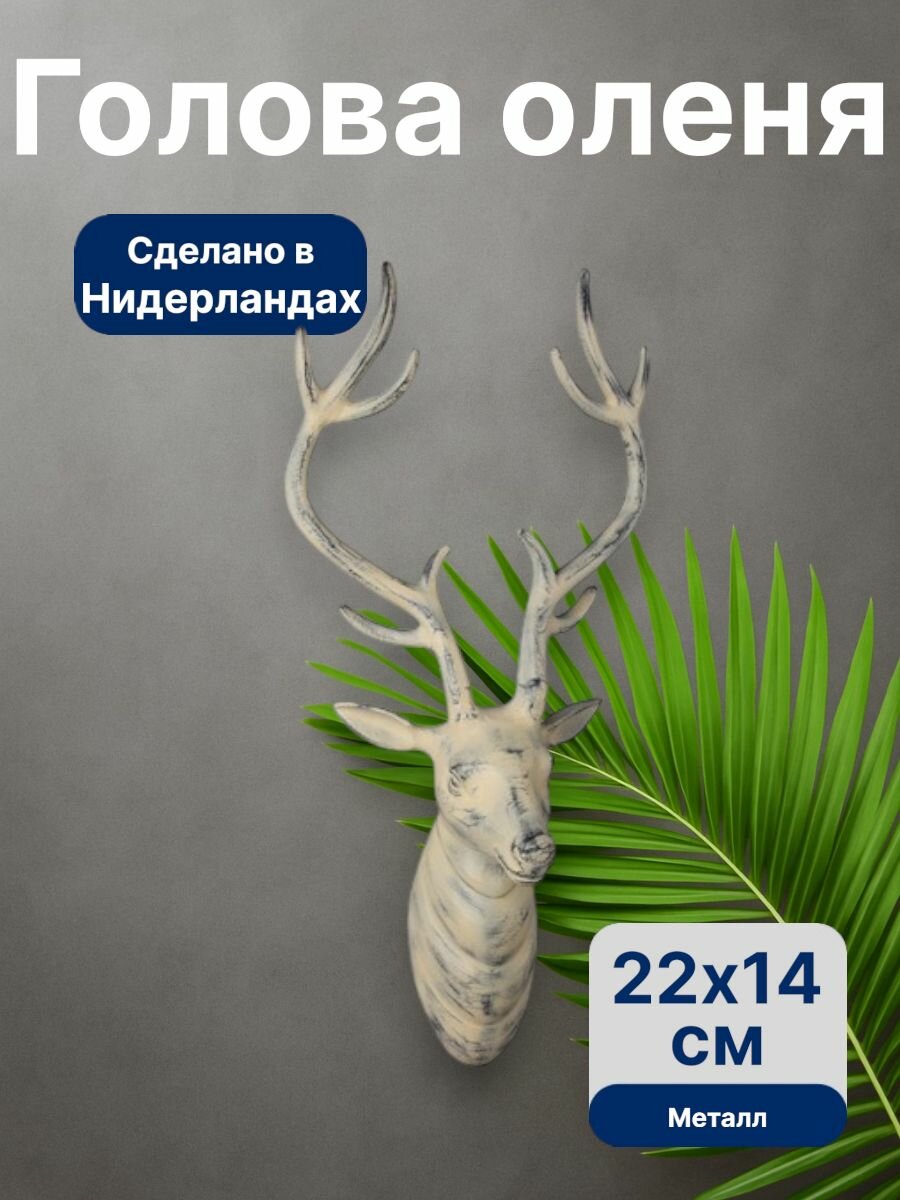 Голова оленя, 22x14 см, металл, Нидерланды