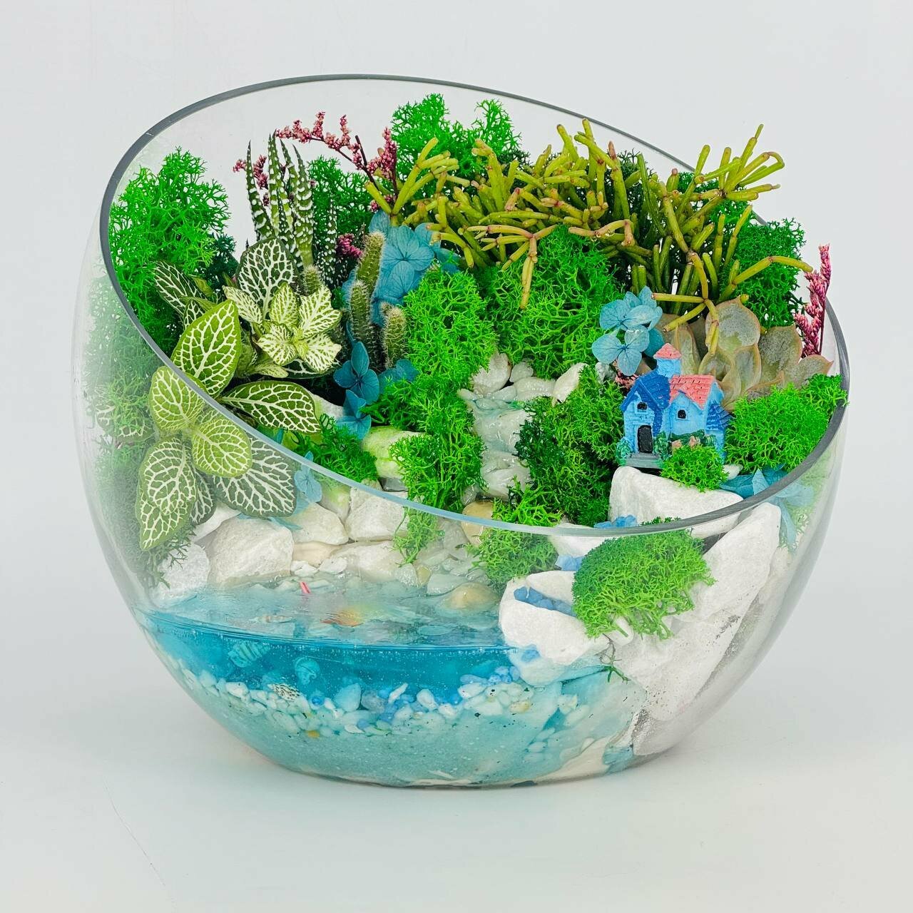 Интерьерный флорариум с суккулентами и водоёмом. Мини сад с растениями