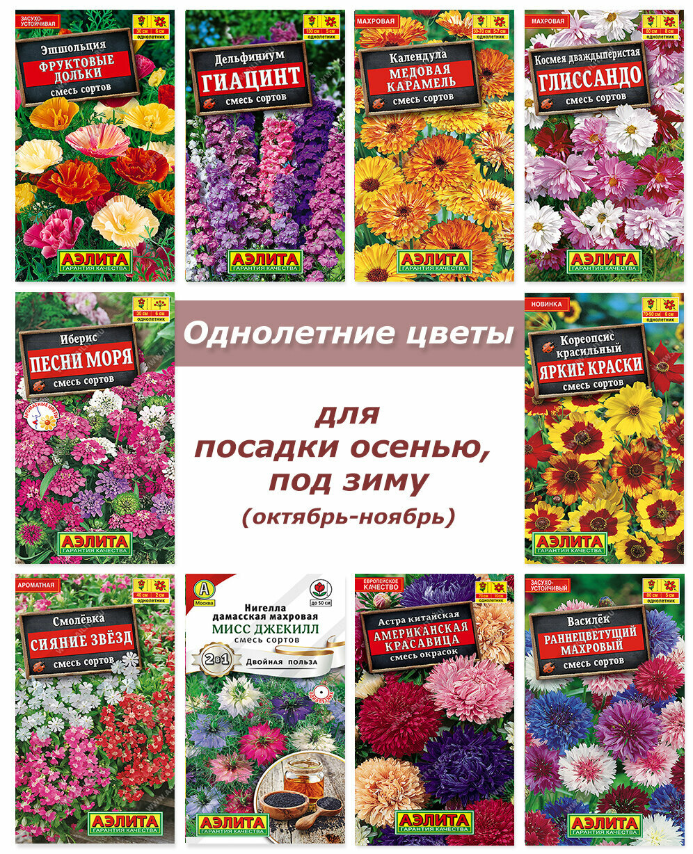 Набор семян, семена однолетних цветов