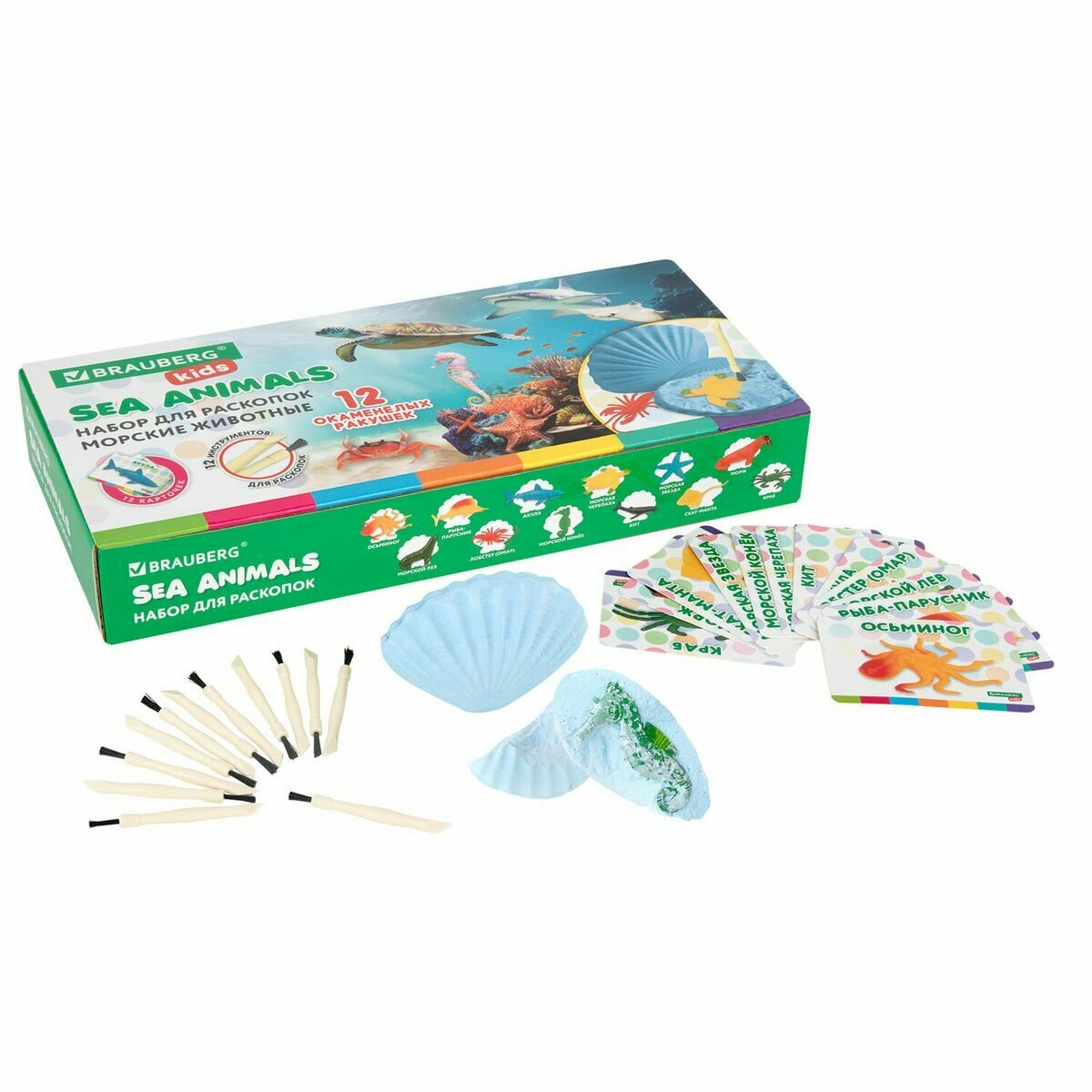Набор для раскопок Brauberg Kids "Морские животные", 12 видов, карточки, инструменты (665126)