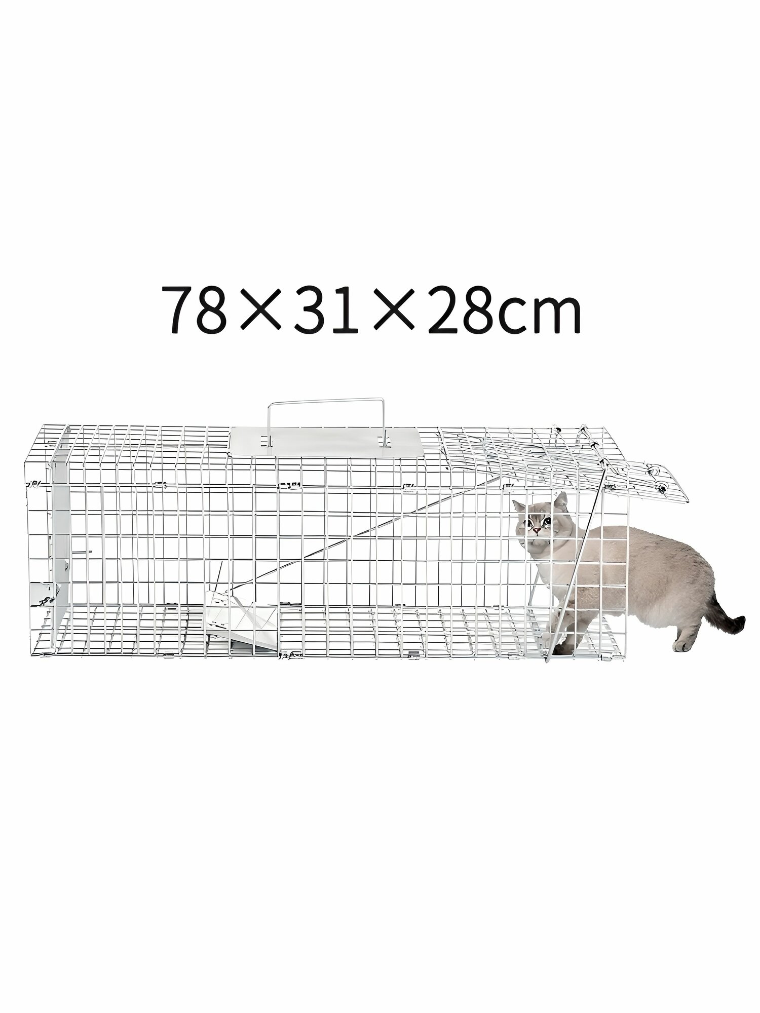 Кошколовка, Кошколовка складная, Клетка - ловушка, Размер, 78х31х28 см