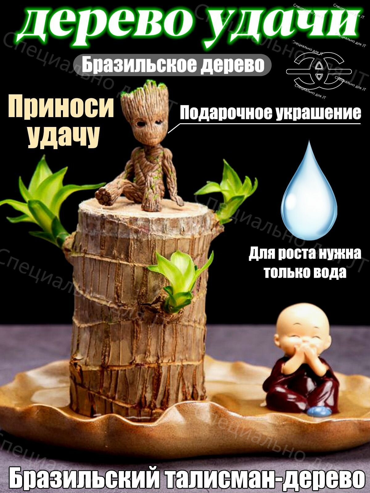 Бразильское дерево удачи (Lucky Bamboo) с фигуркой Грута - Цветущее комнатное растение для выращивания в воде, набор для дома и офиса, подарок на удачу