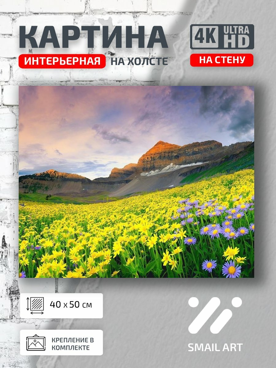 Картина на холсте интерьерная 40 на 50 на стену Скалы Landscape для гостиной пейзаж декор