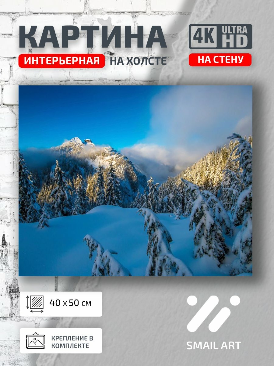 Картина на холсте интерьерная 40 на 50 на стену Деревья Landscape для гостиной пейзаж декор