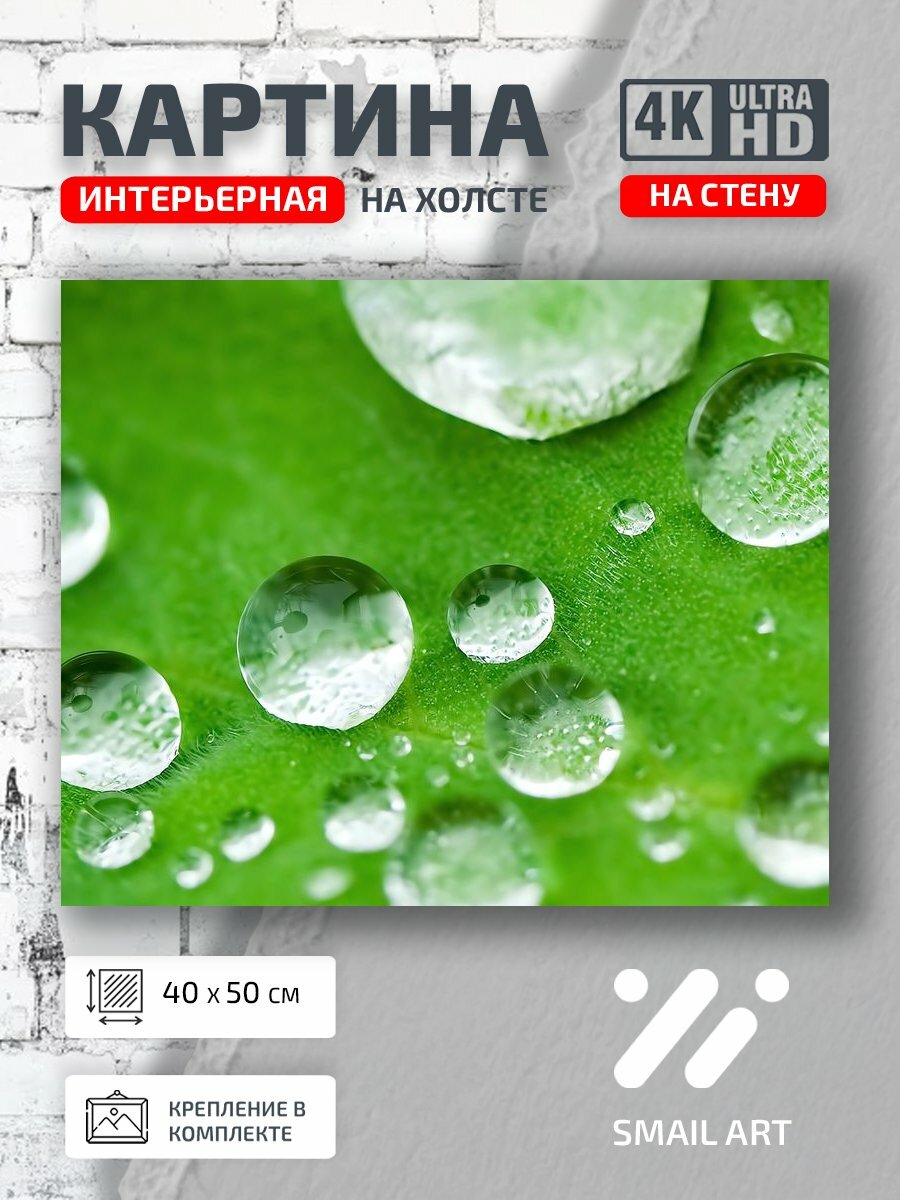 Картина на холсте интерьерная 40 на 50 на стену Капли Landscape для гостиной пейзаж декор