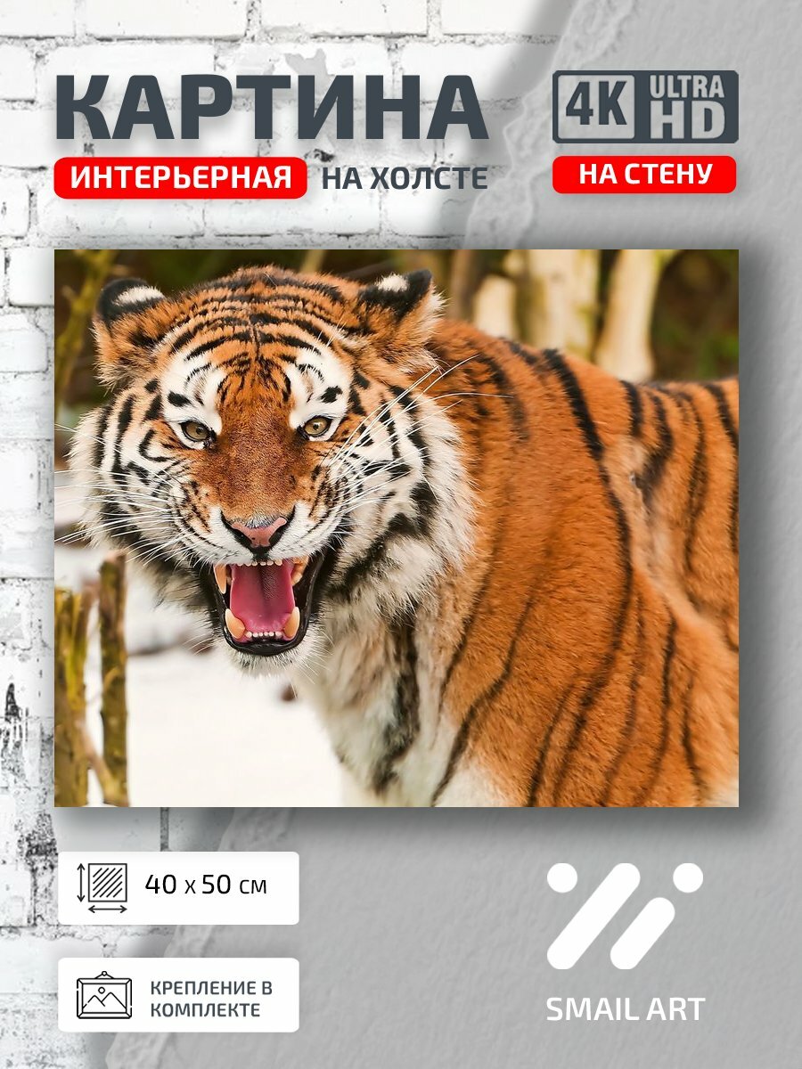 Картина на холсте интерьерная 40 на 50 на стену Тигр Landscape для кафе пейзаж интерьер