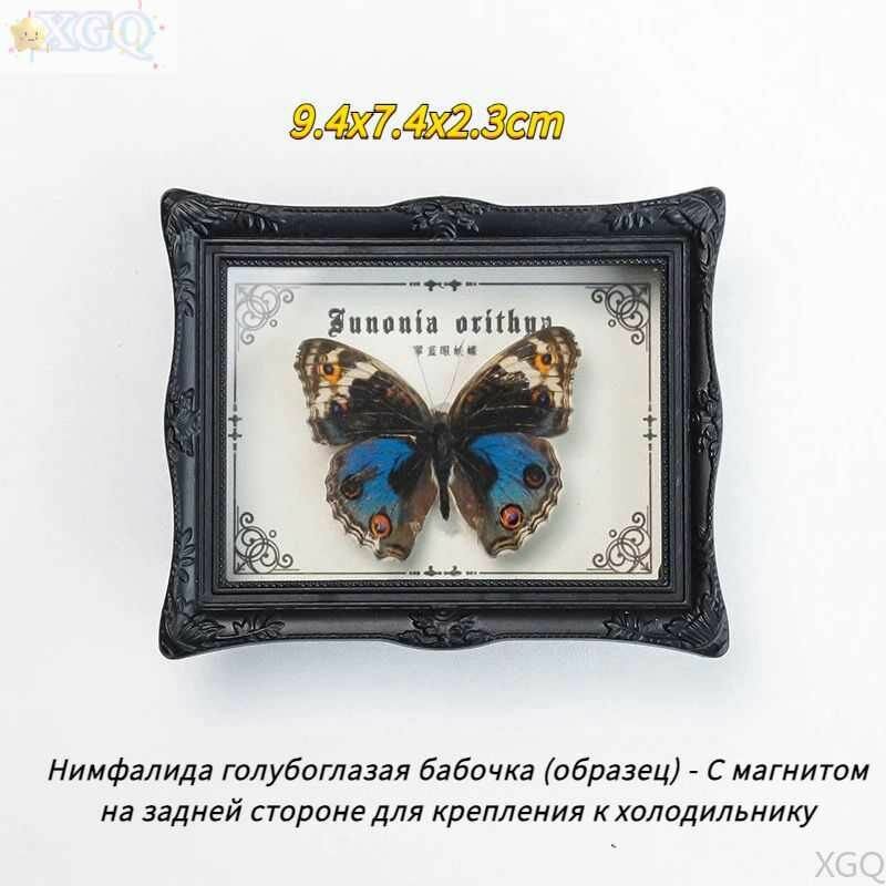 Чучело декоративное Настоящая бабочка в рамке с магнитом и кронштейны для украшения интерьера комнаты, дома, мебели, холодильникаXGQ