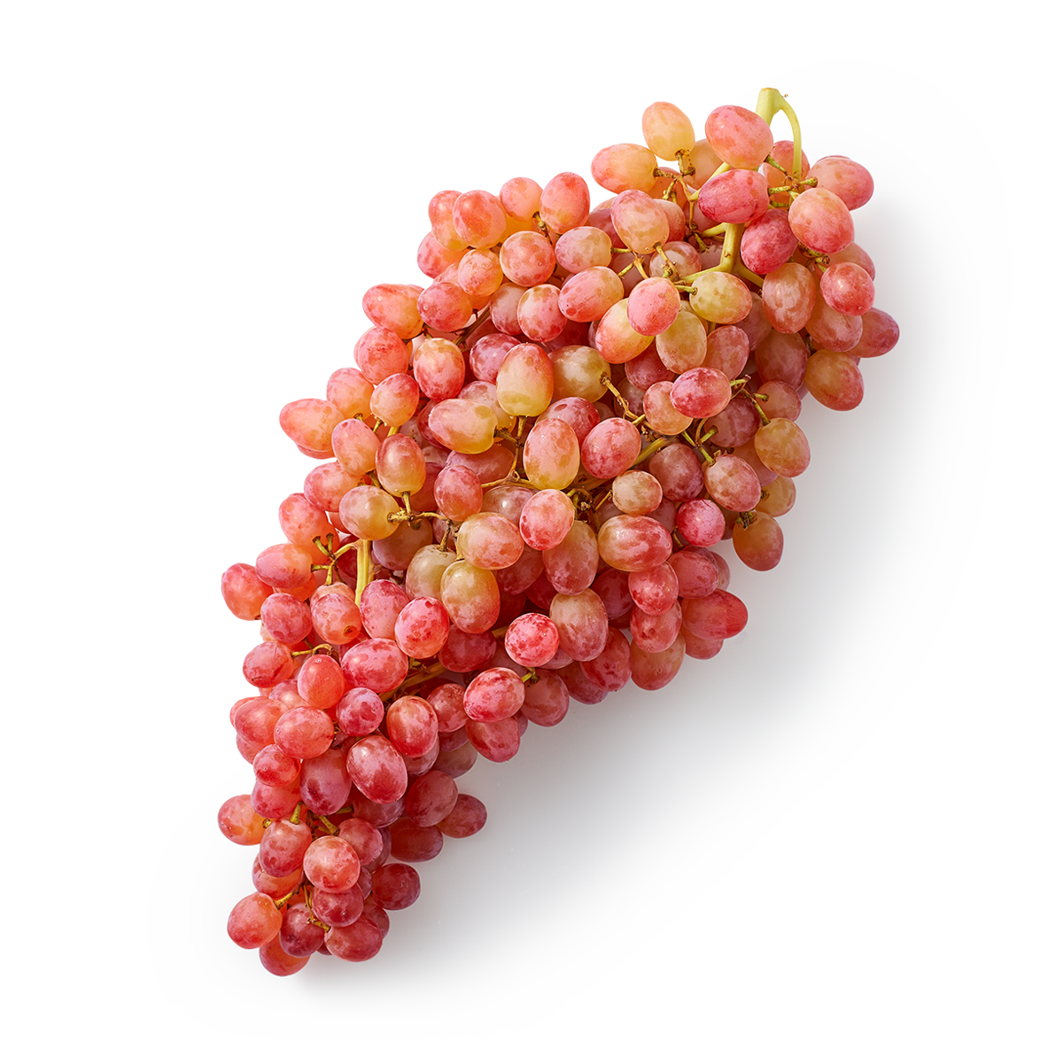 Виноград Кишмиш, без косточек, розовый, в пластиковом контейнере, 500 грамм