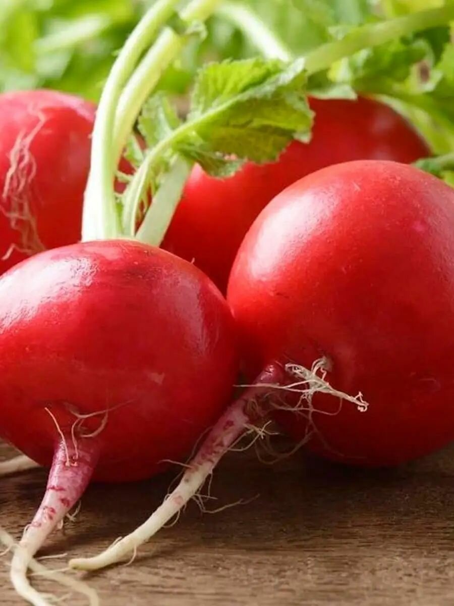 Коллекционные семена редиса Дачный витамин