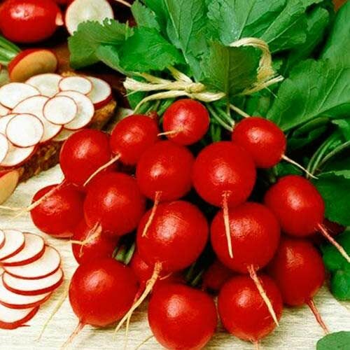 Коллекционные семена редиса Ультраранний