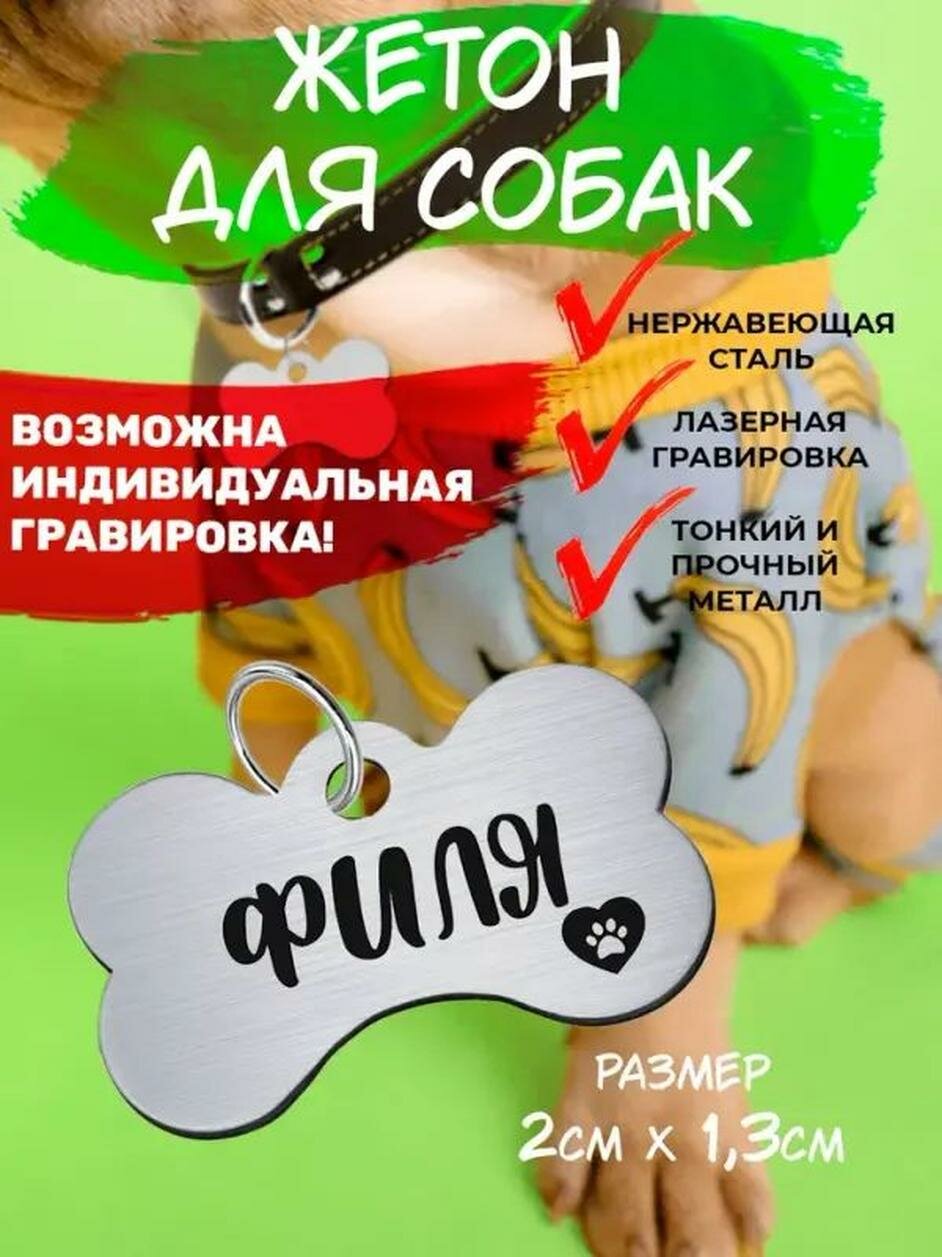Адресник для собаки с гравировкой, нерж. сталь, серебристый, Филя