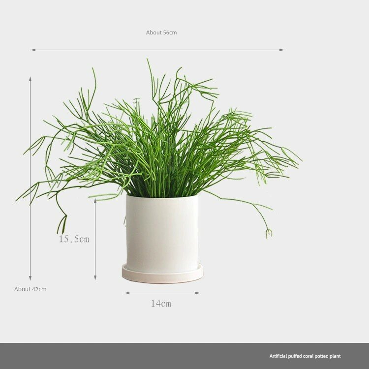 Скандинавское нормальное естественное имитация растения в горшках, модель гостиной, окно комнаты, зеленое растение,