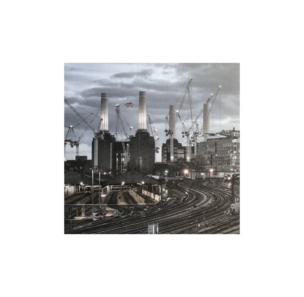 Виниловая пластинка Pink Floyd - Animals (2018 Remix) (1 CD)