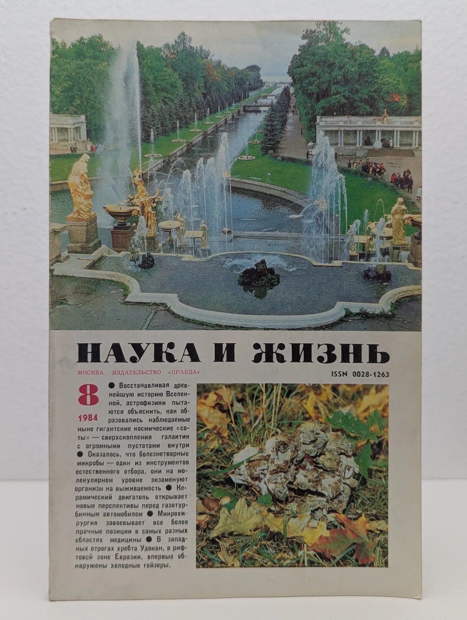 Журнал Наука и жизнь. Выпуск 8. 1984 год Сборник 1984