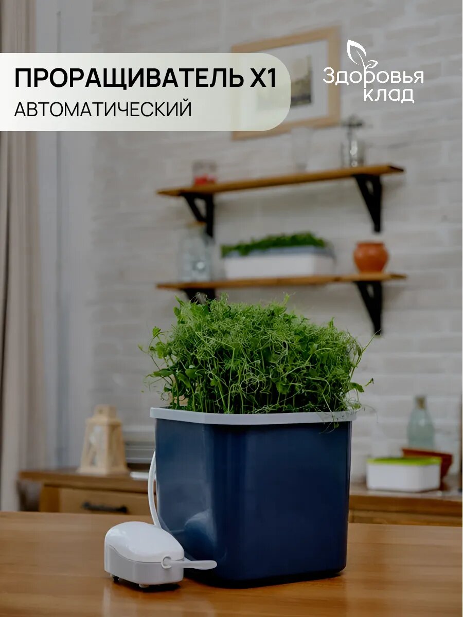 Проращиватель автоматический