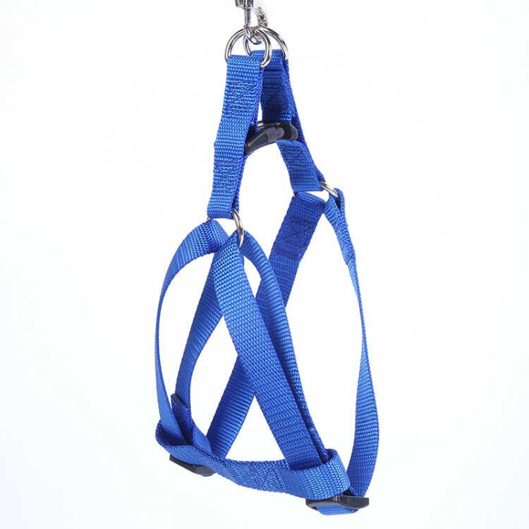 Регулируемый ошейник для собак крупных пород - синий цвет - подходит для пуделей, золотых ретриверов, самой -