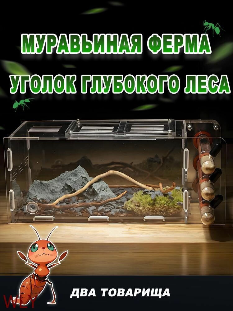 Муравьиная ферма