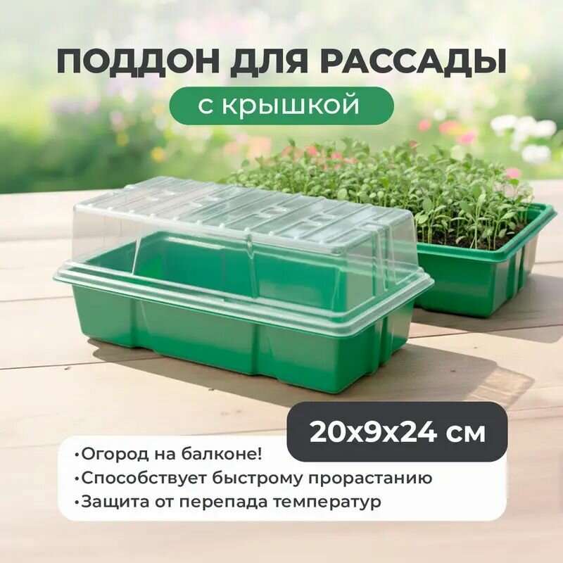 Поддон с крышкой, 20х9х34 см, полистирол; крышка ПЭТ, для выращивания рассады и создания своего огорода на балконе